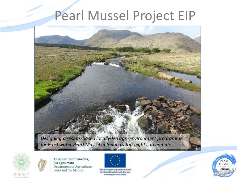 12. Pearl Mussel Project EIP - Derek McLoughlin, Pearl Mussel Project