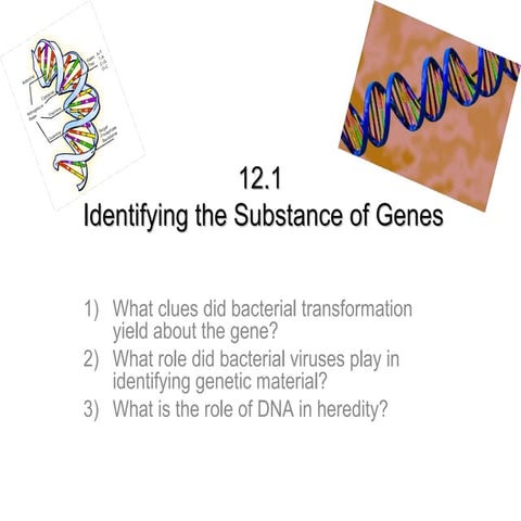12.1 notes | PPT | Genetics | Science