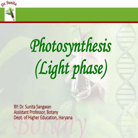 Light reaction of photosynthesis | PPTX