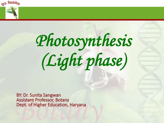 Photosynthesis light dependent reactions | PPTX