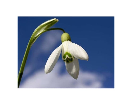 3.Hidroinstalacije.pdf