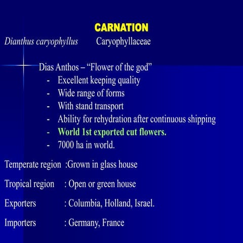12. Carnation-English.ppt | Gardening | Home & Garden
