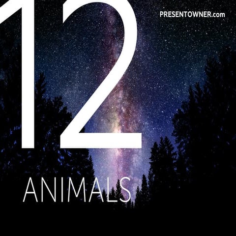 12.Animals.pdf