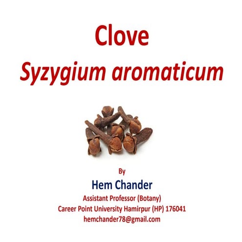 12. Clove.pdf