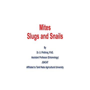 Mites,Slug,Snail_Infesting agricultural crops.pdf | Agriculture ...