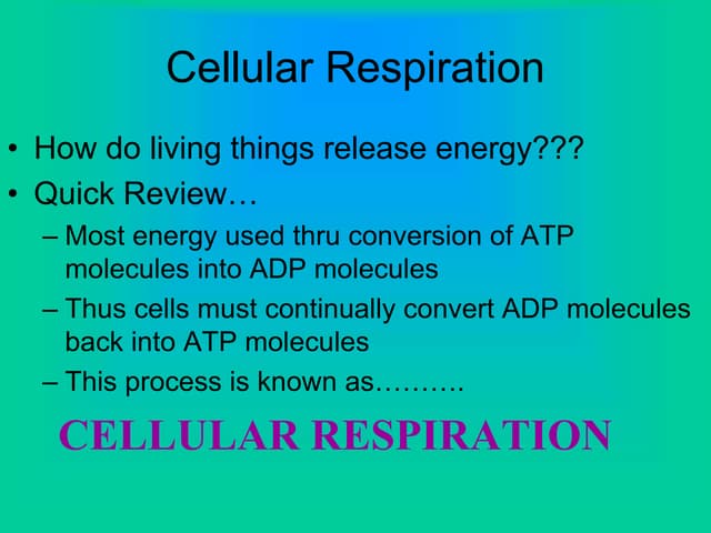 Cellular respiration for High School, Biology | PPTX | Chemistry | Science