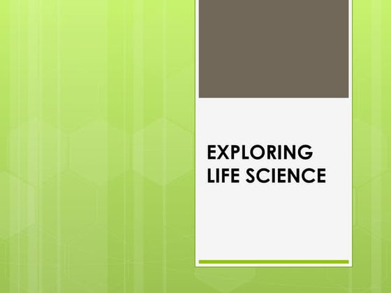 Class 11 Introduction to Biology | PPTX | Biological Sciences | Science