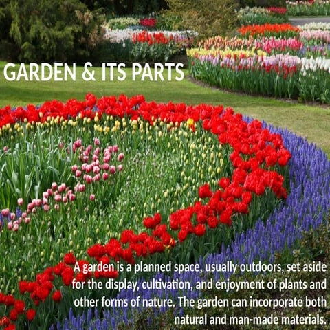12.GARDEN & ITS PARTS for horticulture.pptx
