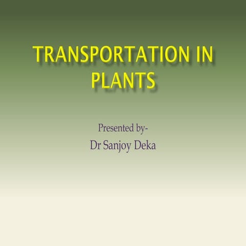 Translocation in plants | PPTX