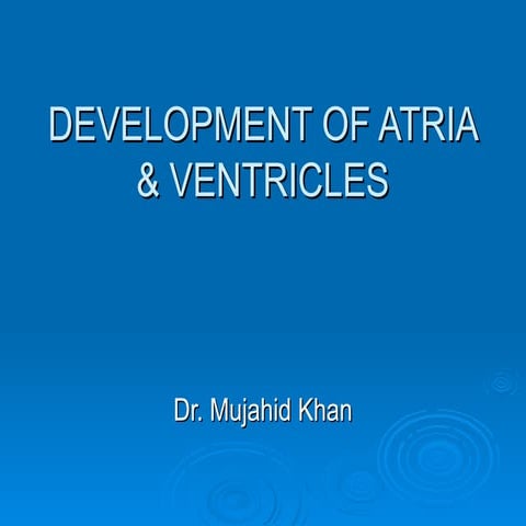 12.Atria & Ventricles.ppt explained in detail | PPT