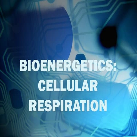 12.c.Bioenergetics-Cellular-Respiration.pptx CELL RESPIRATION FOR HIGH ...
