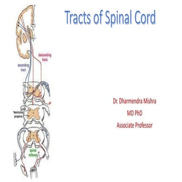 Pyramidal tract and extra pyramidal tracts | PPTX
