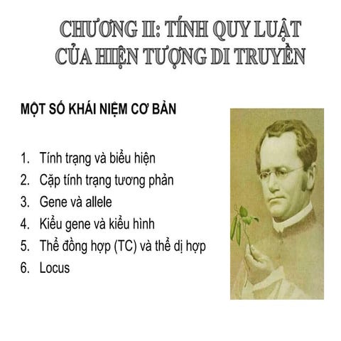 12 8-unit 8- mendel's laws-the principle of segregation | PPT