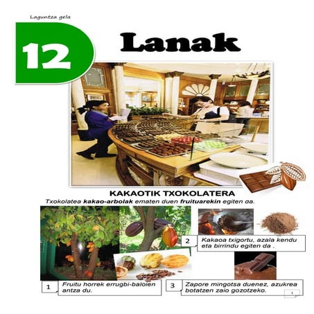 12- LANAK Zubia Santillana | PDF