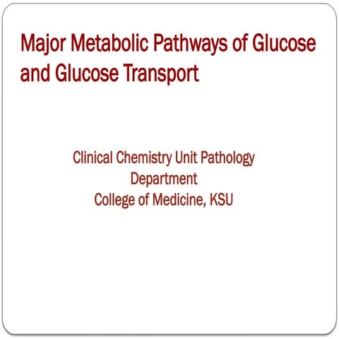 12- Major Metabolic Pathways of Glucose.pptx