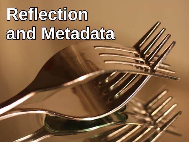 Reflection And Metadata Ppt
