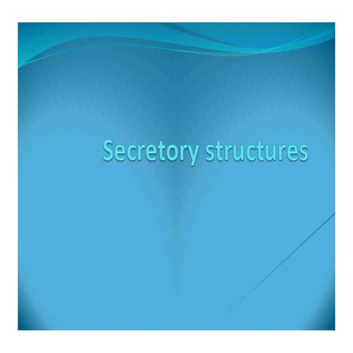 Nodal anatomy, Leaf development & Phyllotaxy | PPTX