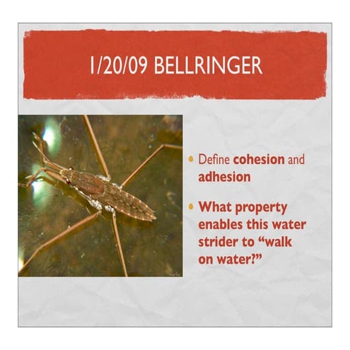 1-15-09 BELLRINGER | PDF