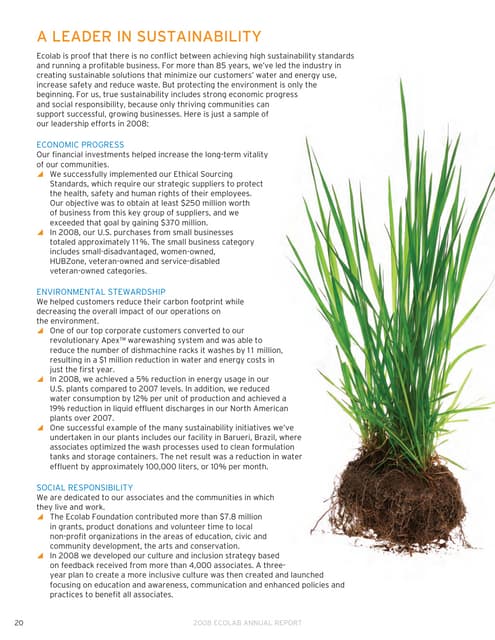 ecolab Overview | PDF