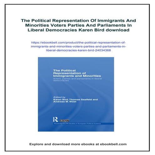 The Political Representation Of Immigrants And Minorities Voters ...