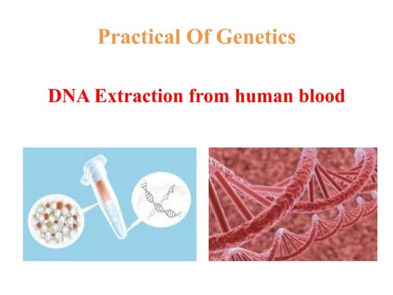 Dna extraction from human blood | PPTX | Chemistry | Science