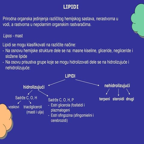 120457870 lipidi | PPT