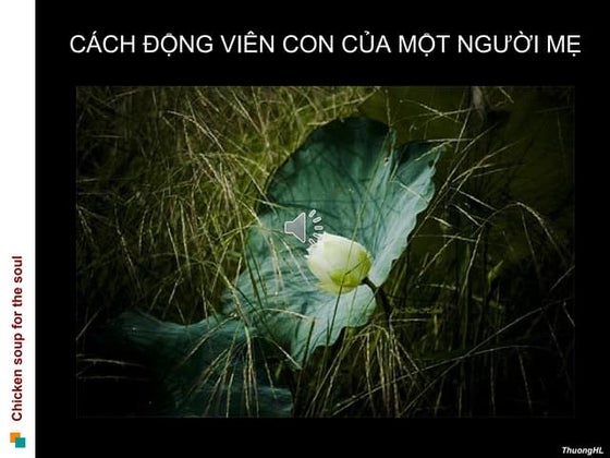 Không sợ sách | PPT