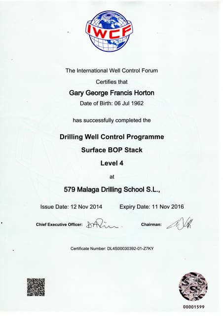 IWCF Certificate (Combined Surface and Subsea BOP) - Rada Jancic | PDF