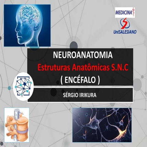 12 05 23 ANATOMIA SNC (ENCEFALO = TELENCEFEALO - T.E. - CEREBELO).pdf