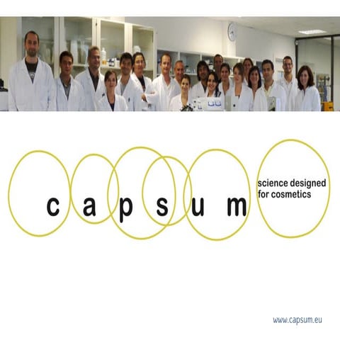 CAPSUM | PDF