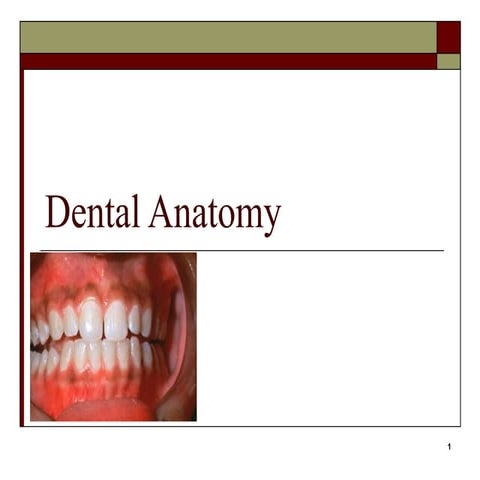Dentition in mammals.pptx