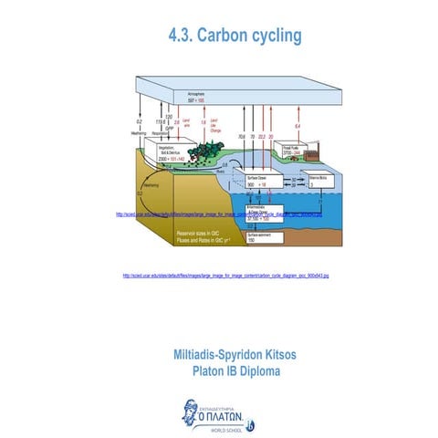 4.3 Carbon cycling | PPTX