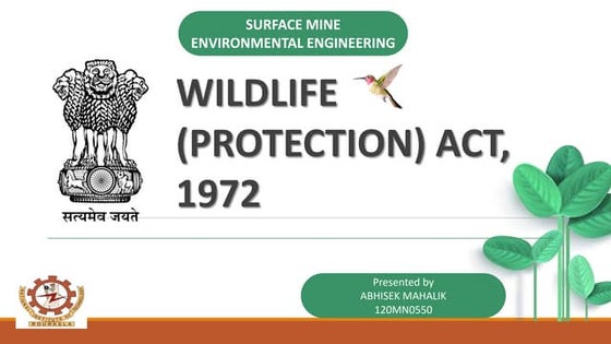 WILDLIFE PROTECTION ACT 1972 | PPTX | Hunting and Shooting | Sports
