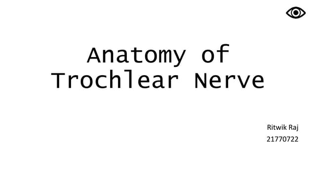 Anatomy Of Trochlear Nerve Ophthalmologypptx