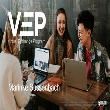 Virtual Exchange Program | PDF