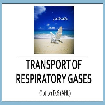 Add more information to your upload pptx | PPT | Lung and Respiratory ...