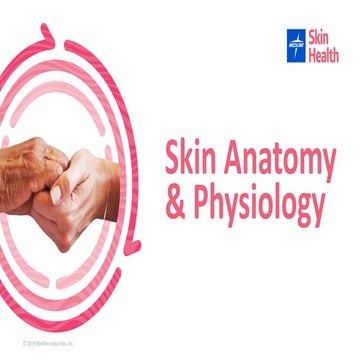 Skin Anatomy & Physiology | PDF