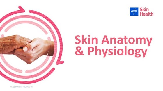Skin: Structure and function of the skin | PPTX