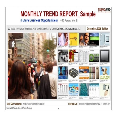 12.2008 Trendbird Monthly Trend Report Sample | PDF
