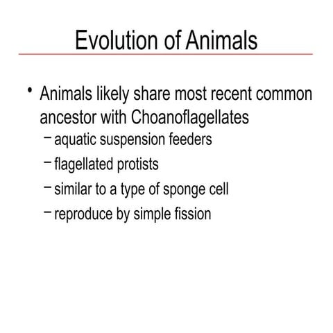 Biology - Animals: Classification, Evolution, Types | PPT