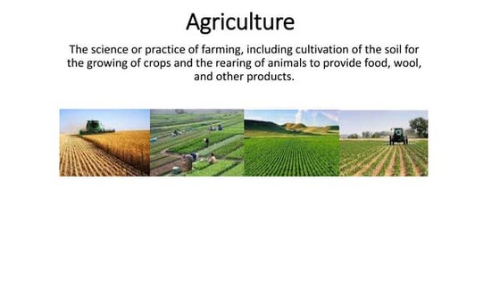 Agriculture and environment | PPTX | Agriculture | Industries