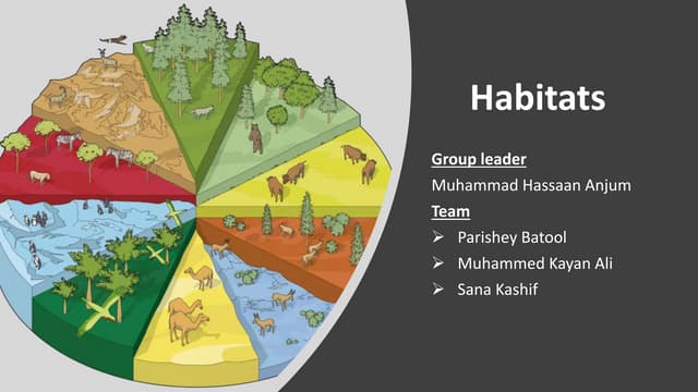 Habitats.pptx for grade 2 level children | PPTX