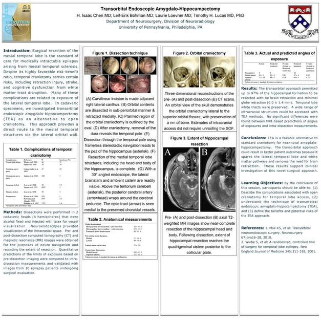 12342.Transorbital Endoscopic Amygdalo-Hippocampectomy | PPT