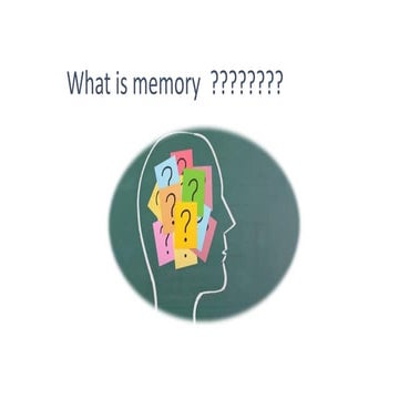 Strategies To Improve Memory And Retention