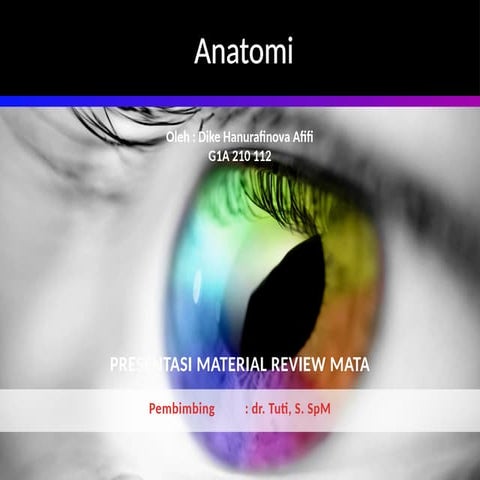 BASIC KNOWLEDGE OF EYE for begginer study | PPTX