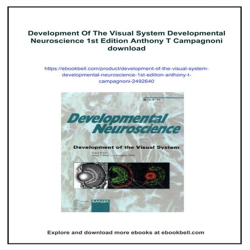 Development Of The Visual System Developmental Neuroscience 1st Edition ...