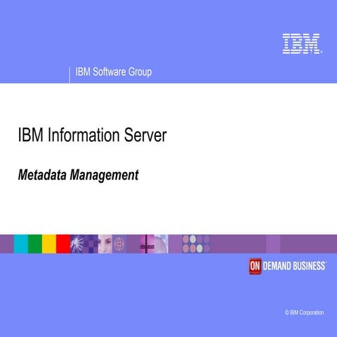 IBM Infosphere Server Metadata mangement | PPT