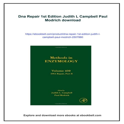 Dna Repair 1st Edition Judith L Campbell Paul Modrich | PDF