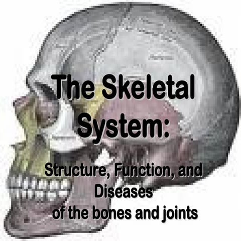 Anatomy of skeletal system | PPTX