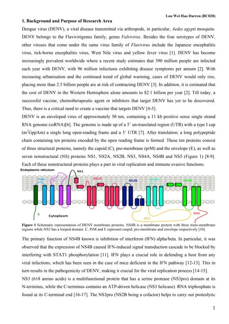 ssef posteR, final draft | PDF